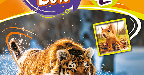 FUN BOX 2 PUPIL'S BOOK